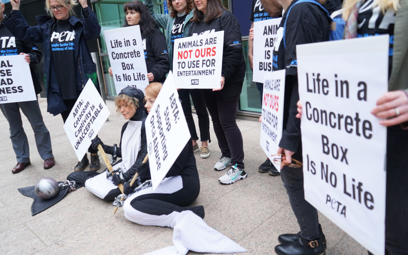 PETA Protest: ‘Orcas’ Speak Out Against Marine Park Captivity