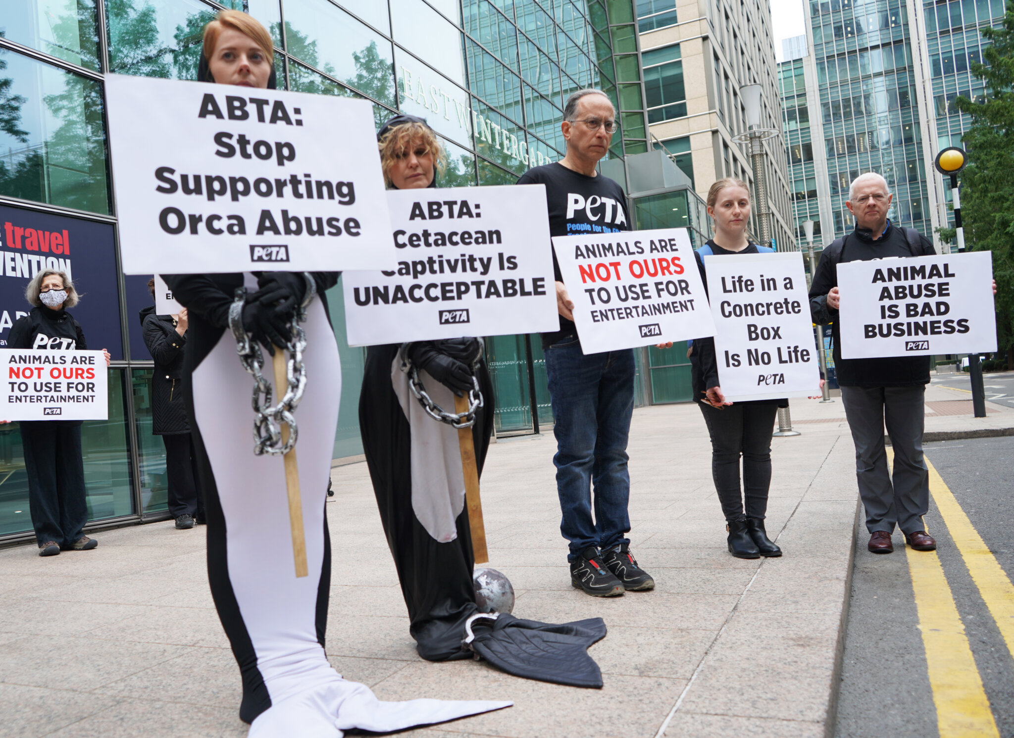 PETA Protest: ‘Orcas’ Speak Out Against Marine Park Captivity