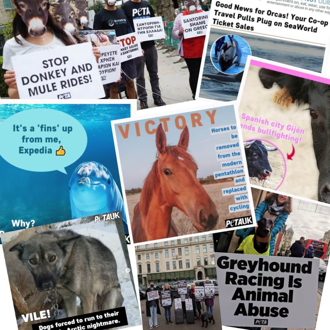2021 – What a Year for Animals!
