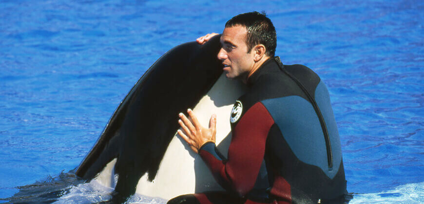 Former Orca Trainer Speaks Out in Letter to Jet2holidays