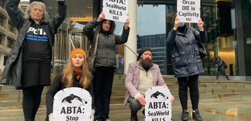 Marine Parks Kill Animals – Why Is ABTA Supporting Them?