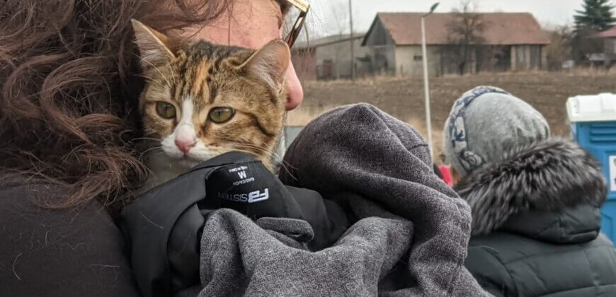 Donate Your Fur to PETA - PETA UK