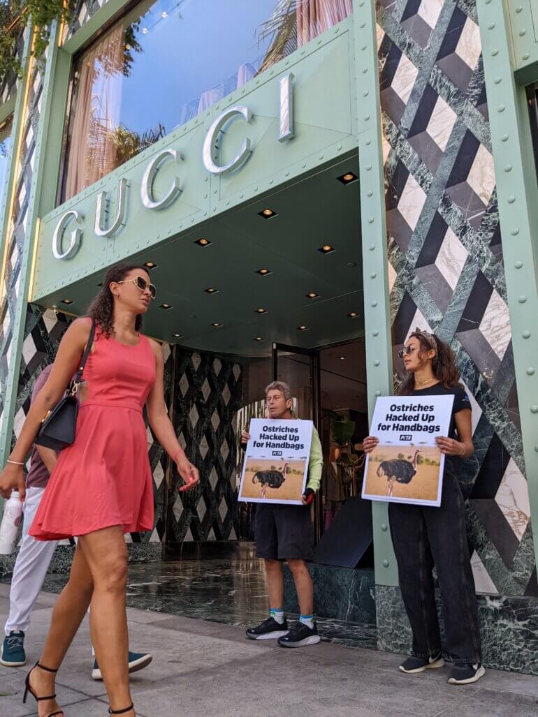 Week of Action to Take Down Exotic Skins Global Effort Begins