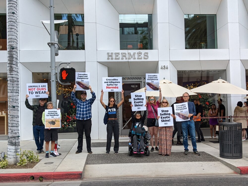 Week of Action to Take Down Exotic Skins Global Effort Begins