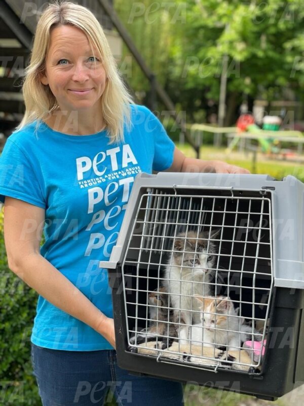 PETA Entities Are in Ukraine, Moving Mountains to get to Animals in Need