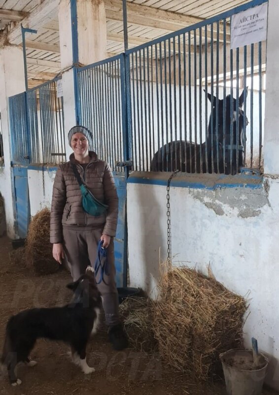 PETA Entities Are in Ukraine, Moving Mountains to get to Animals in Need