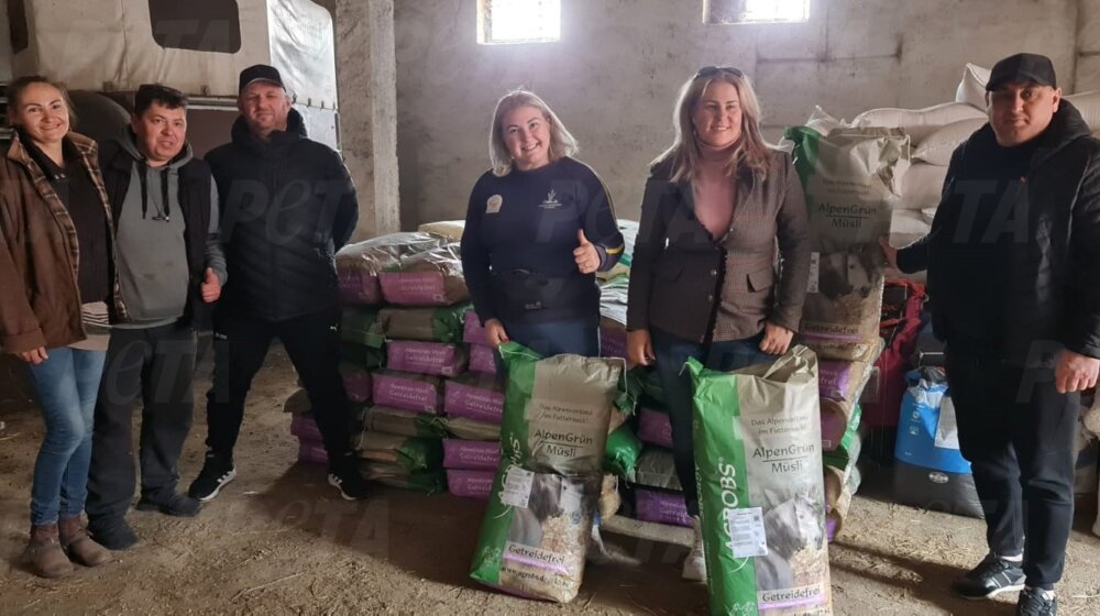 PETA Entities Are in Ukraine, Moving Mountains to get to Animals in Need