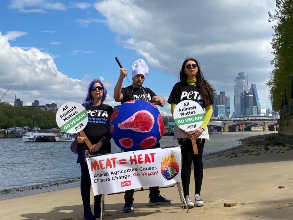 Earth Day Message From PETA – Go Vegan to Take the Earth off the Grill