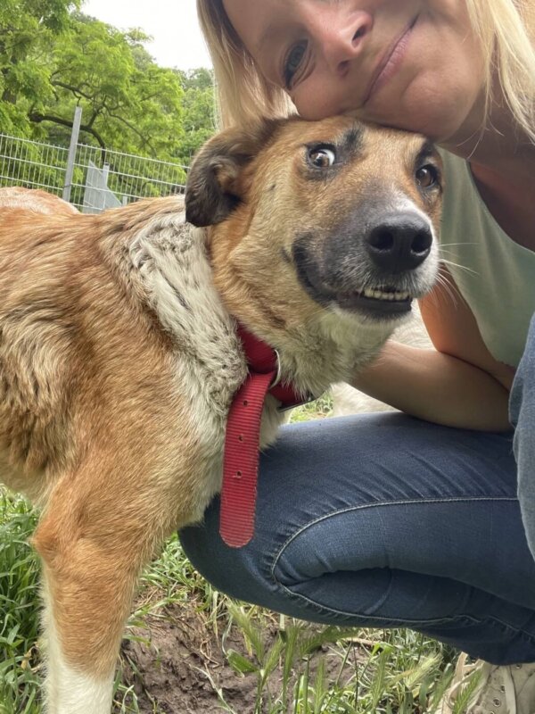 PETA Entities Are in Ukraine, Moving Mountains to get to Animals in Need