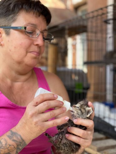 PETA Entities Are in Ukraine, Moving Mountains to get to Animals in Need