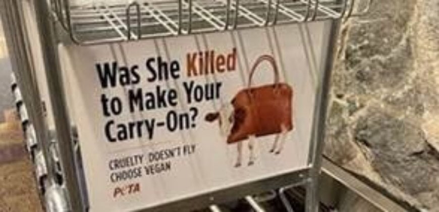 UK Airports Ban PETA’s Anti-Leather Ad