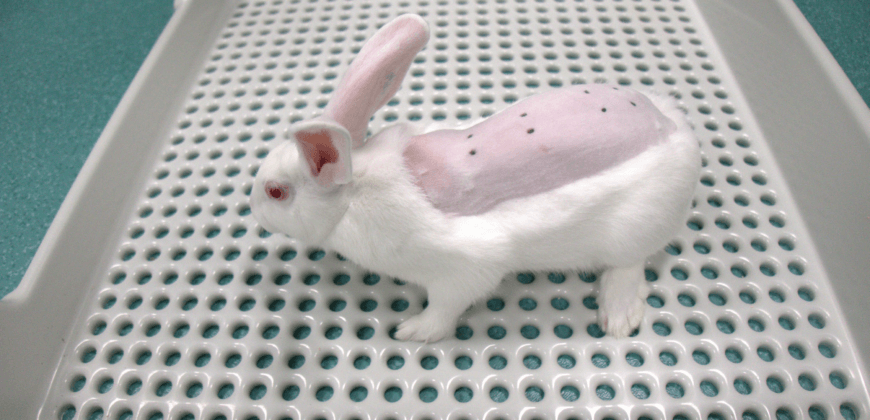Save Cruelty-Free Cosmetics - PETA UK