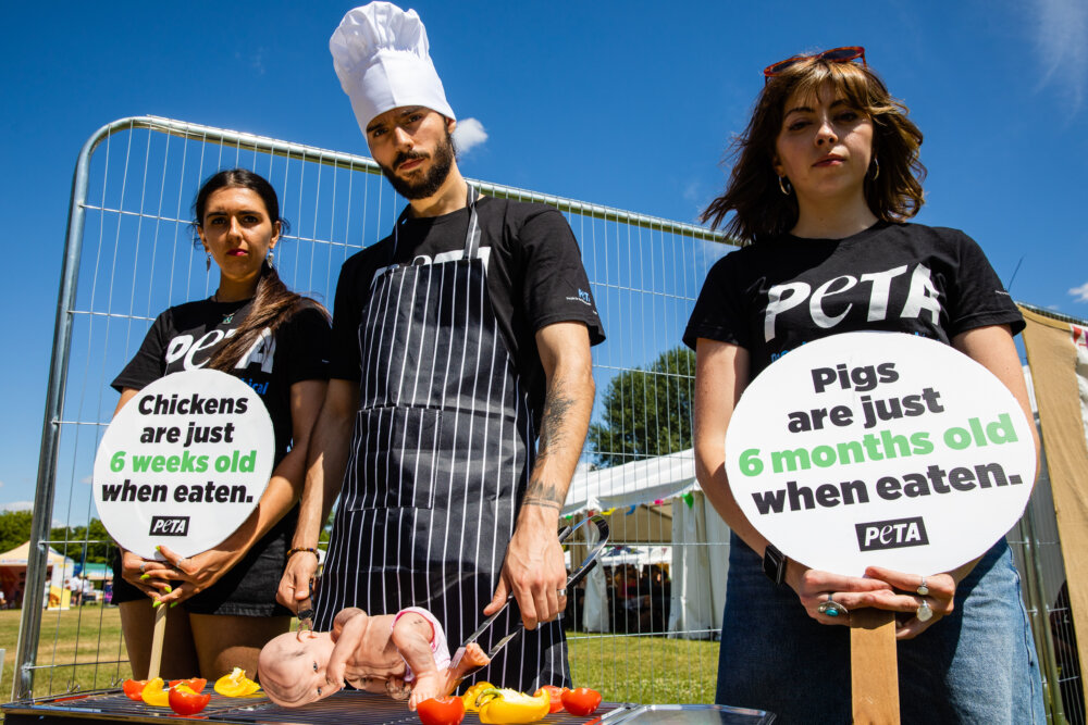 Why Did PETA Barbecue a ‘Baby’?