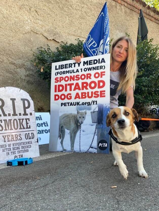 Silverstone Banner Drop: PETA Calls On Formula 1 to Stop Supporting ...