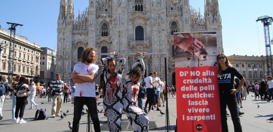 Milan Fashion Week: PETA Supporters ‘Skinned’ in Protests Against ...