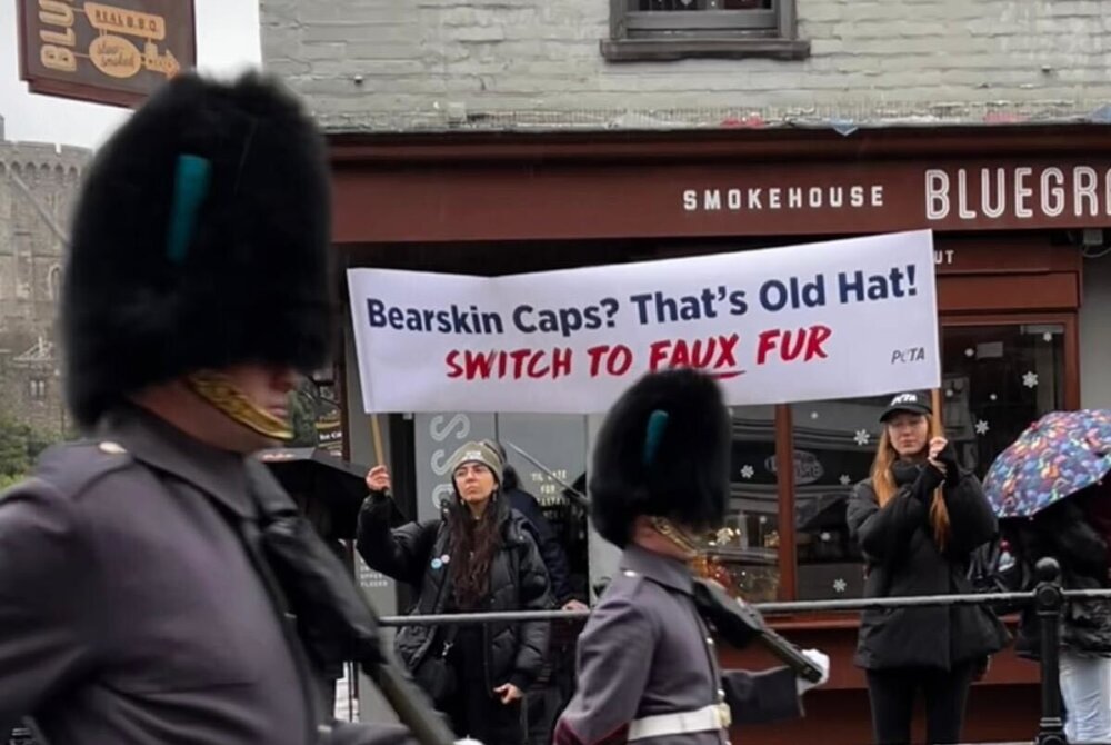 PETA Crashes Windsor’s Changing of the Guard Over Bearskin Caps