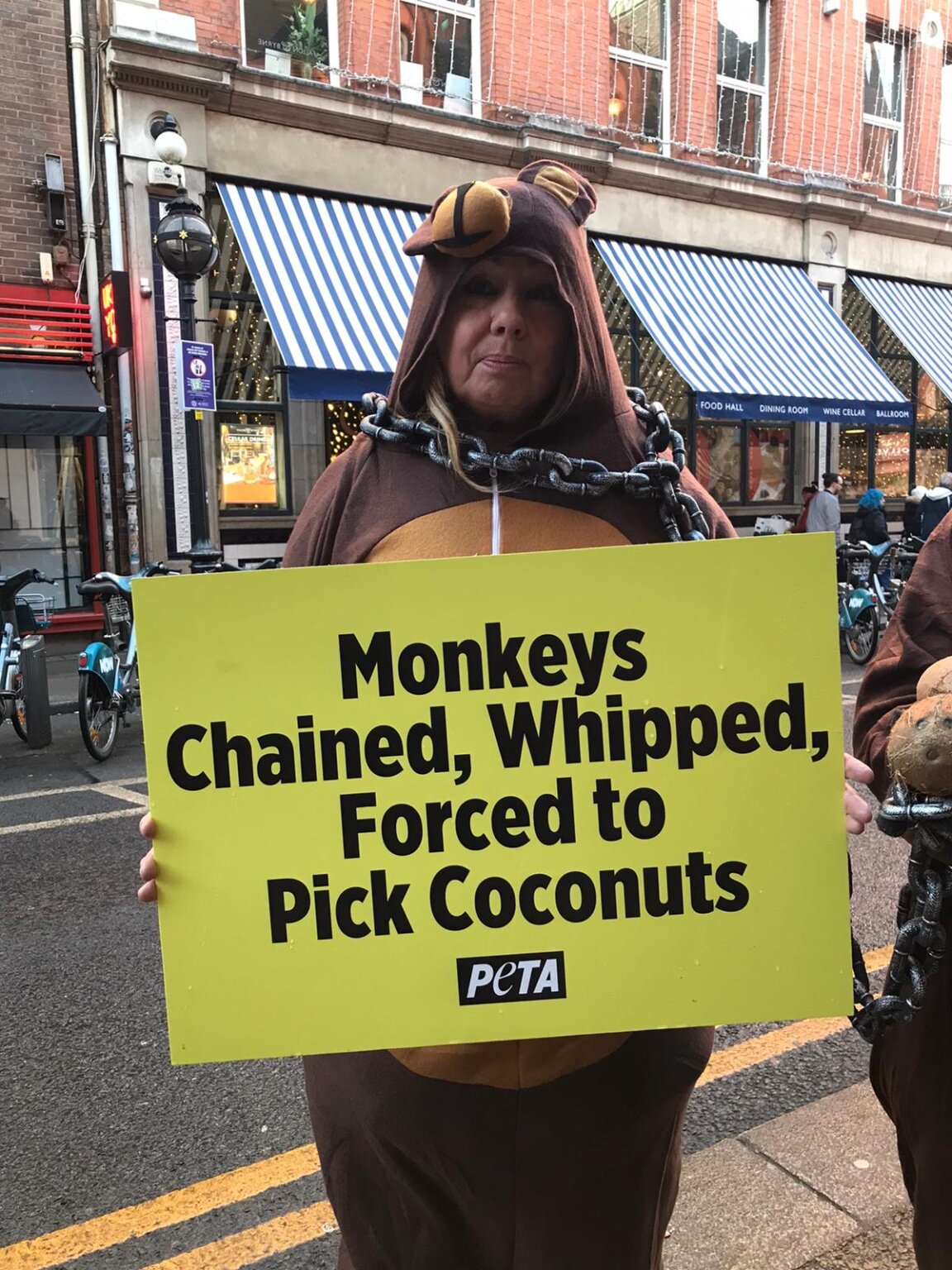 Chained ‘Monkeys’ Protest Thailand’s Animal Labour