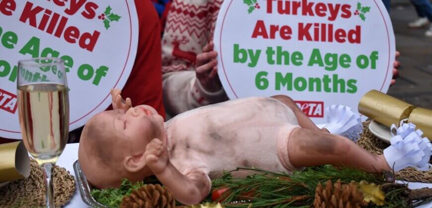 Repulsed by PETA’s Roast ‘Baby’? Go Vegan