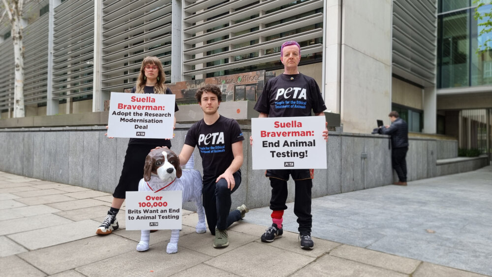 PETA Submits Over 100,000-Strong Petition Against Tests on Animals