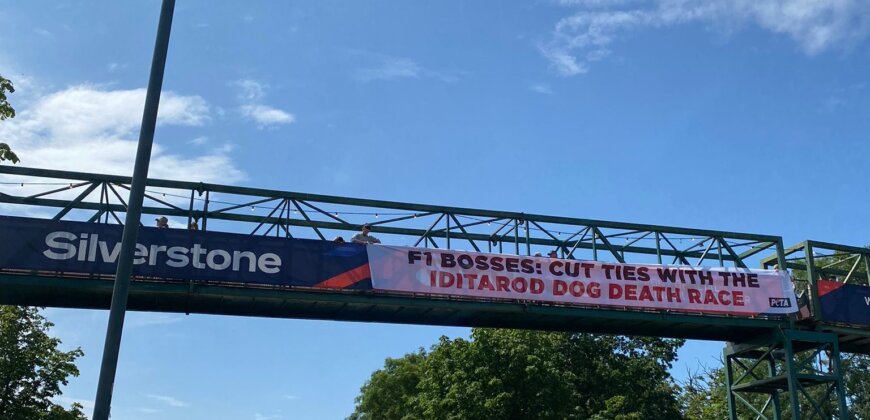Silverstone Banner Drop: PETA Calls On Formula 1 to Stop Supporting ...