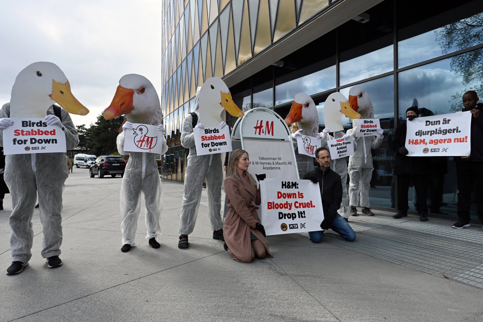 Duck Defenders Protest Outside H&M Annual Meeting