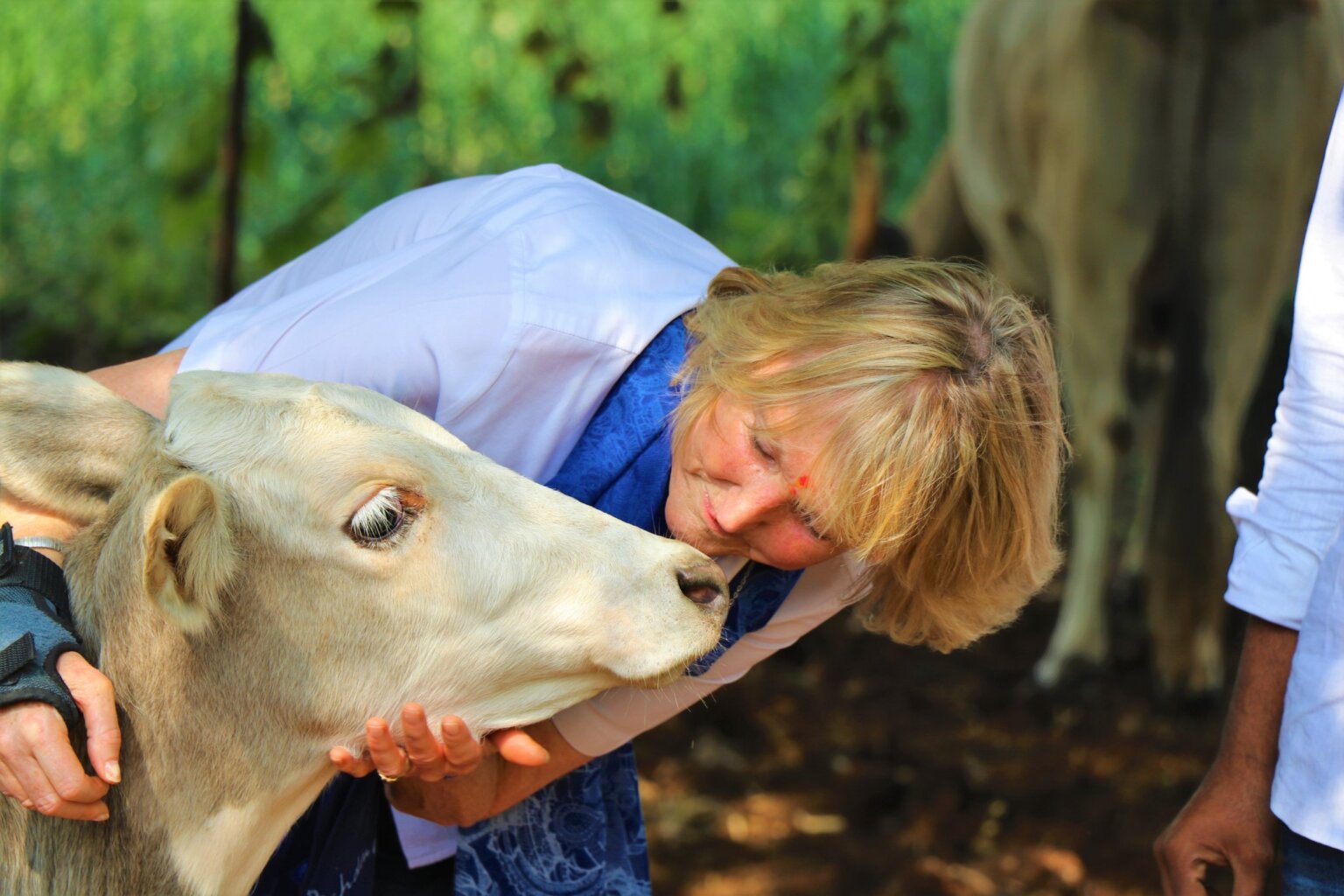 PETA Founder Ingrid Newkirk Wrote WHAT in Her Will?