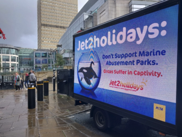 Ad Van Calls On Jet2holidays to Drop Marine Abusement Parks - Media ...