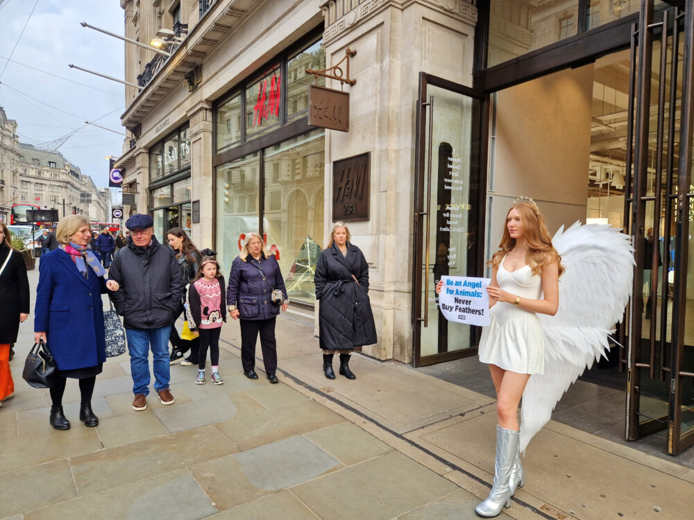 From Heaven to H&M: PETA ‘Angel’ Reveals Hellish Reality of Down