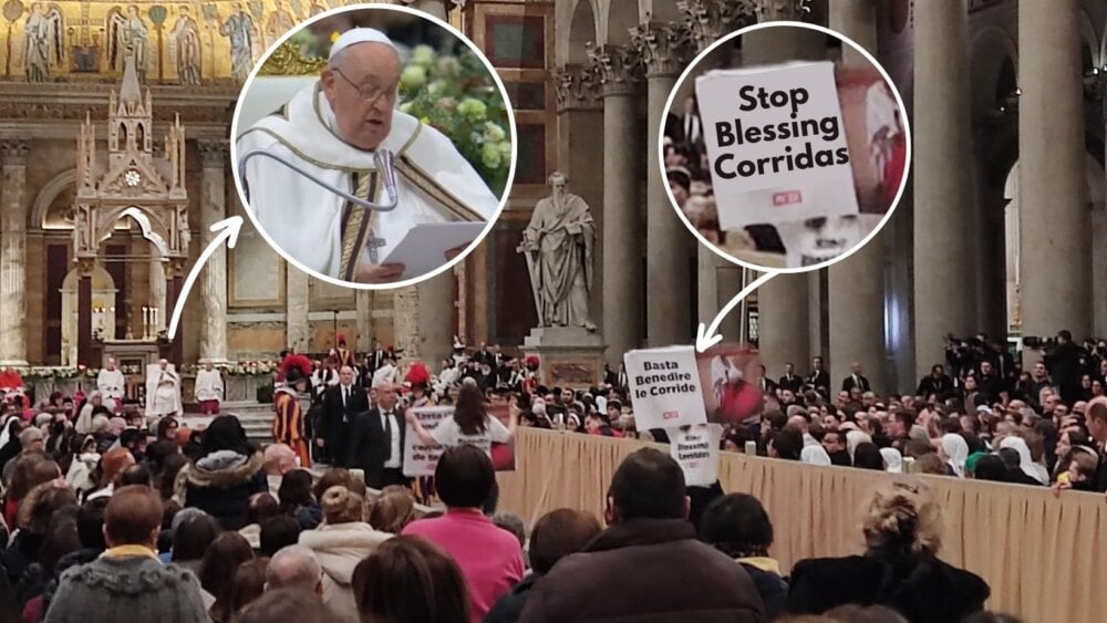 PETA Urges New Pope Leo XIV to Honour Pope Francis, End Church Support ...