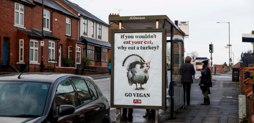 If You Wouldn’t Eat Your Cat, Why Eat a Turkey? New PETA Ad Challenges ...