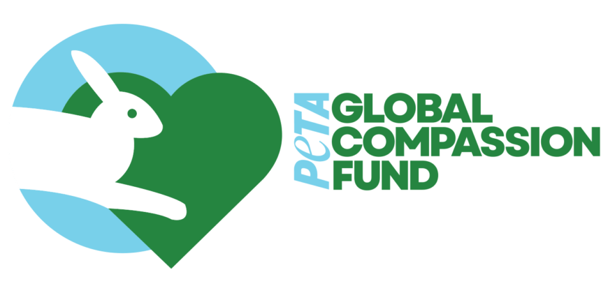 PETA Presents: The Global Compassion Fund Fireside Chats with Ingrid ...