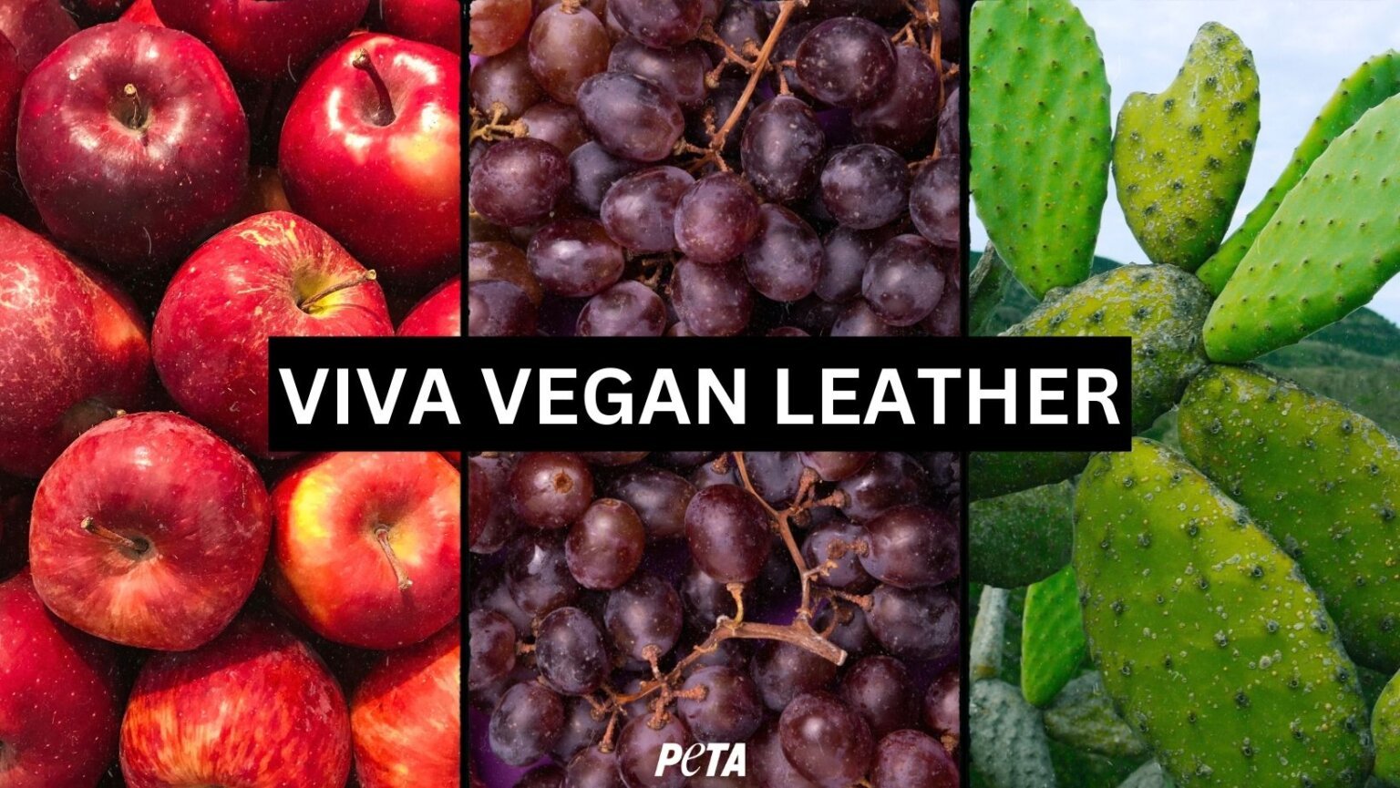 Viva Vegan Leather! PETA Disrupts Victoria Beckham’s Paris Fashion Week ...