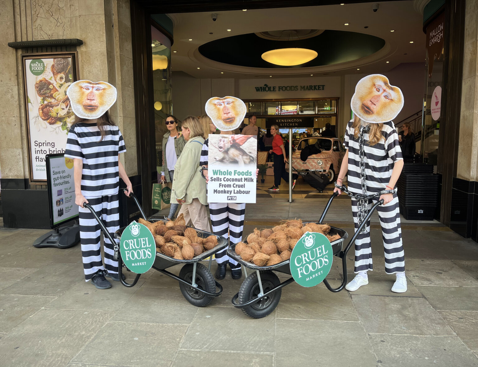 Chained PETA ‘Monkeys’ Dump Coconuts at Whole Foods