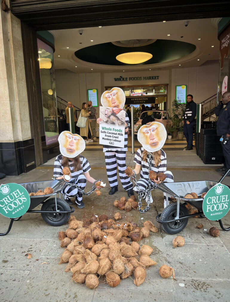 Chained PETA ‘Monkeys’ Dump Coconuts at Whole Foods
