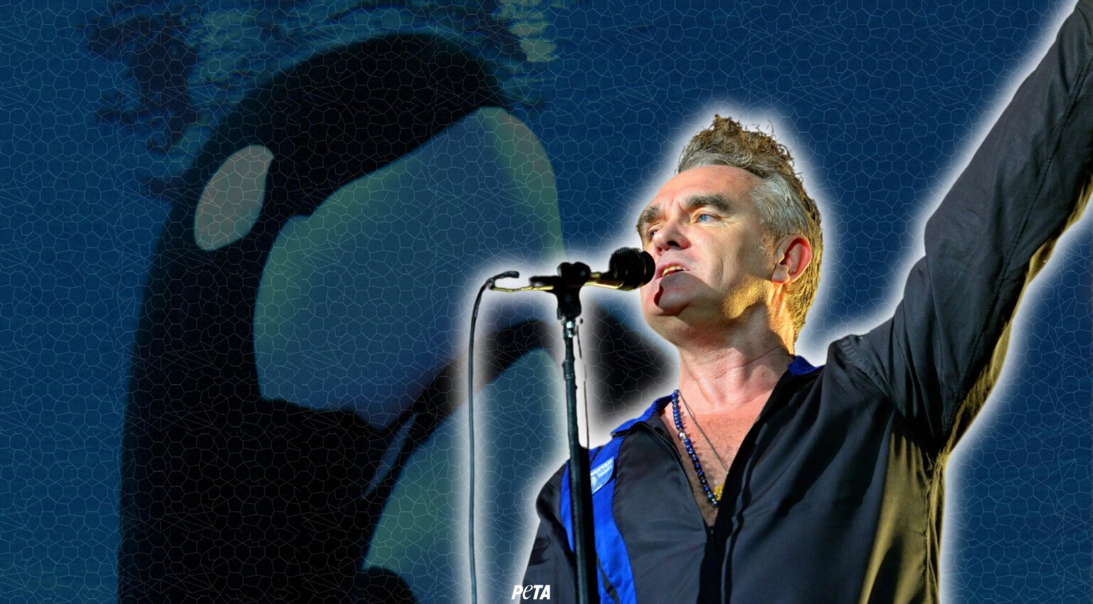 PETA’s Campaign to End TUI’s Support of Orca Abuse