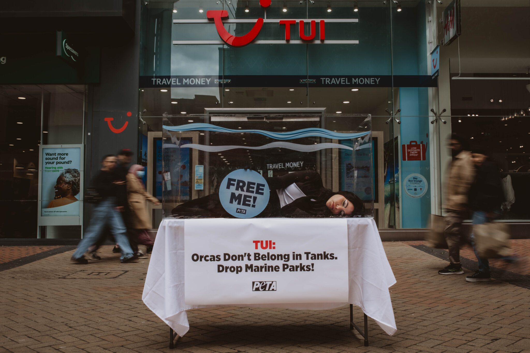 PETA’s Campaign to End TUI’s Support of Orca Abuse