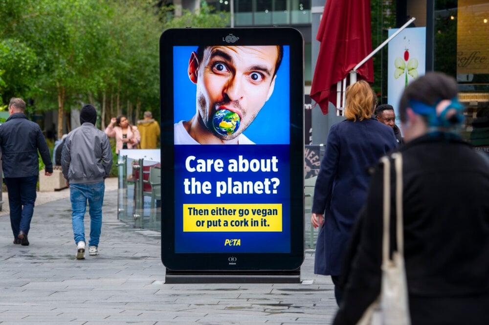 World Environment Day – Go Vegan or Put a Cork in It!