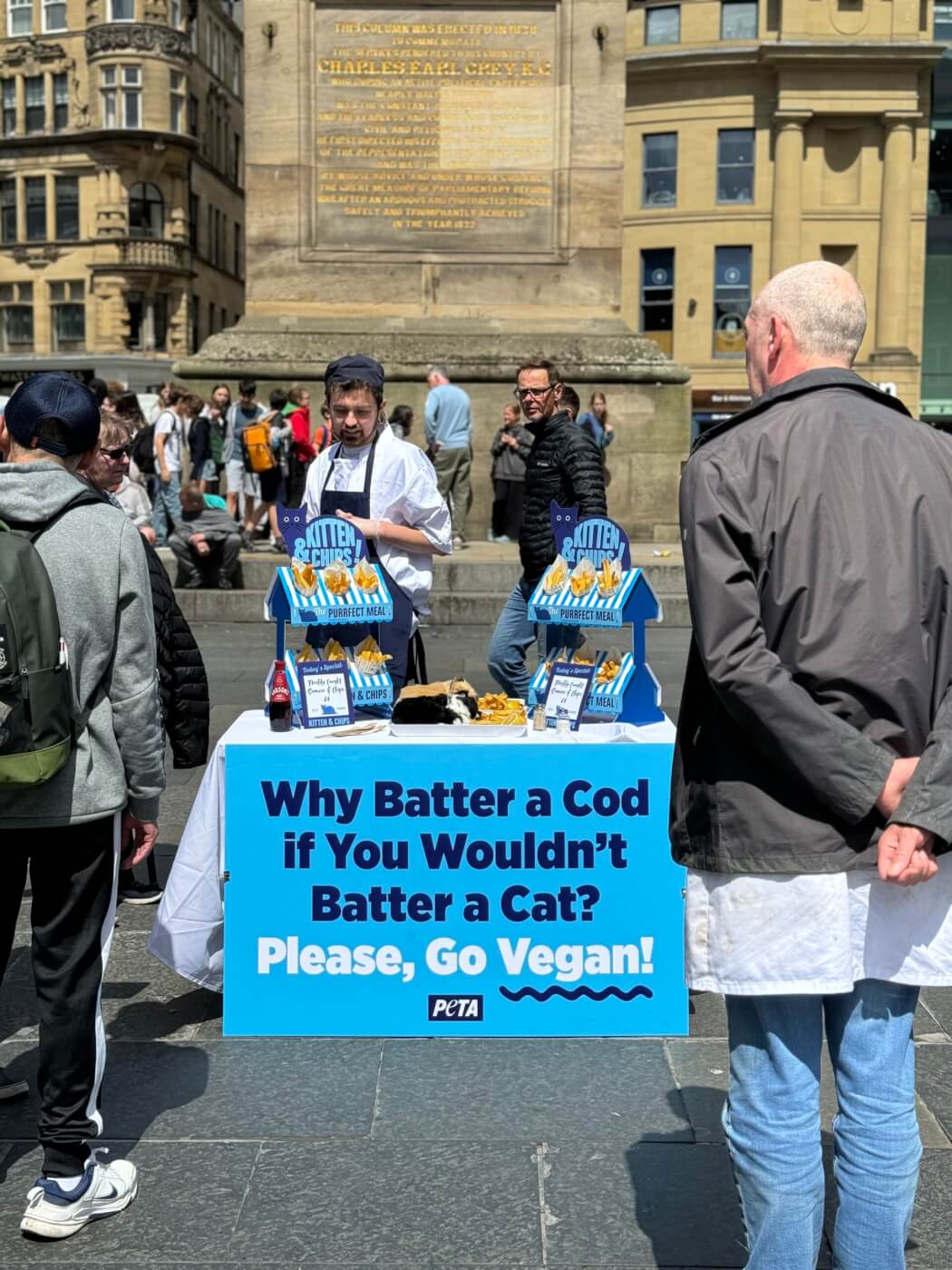 Cat or Cod? PETA Serves Up ‘Kittens’ and Chips