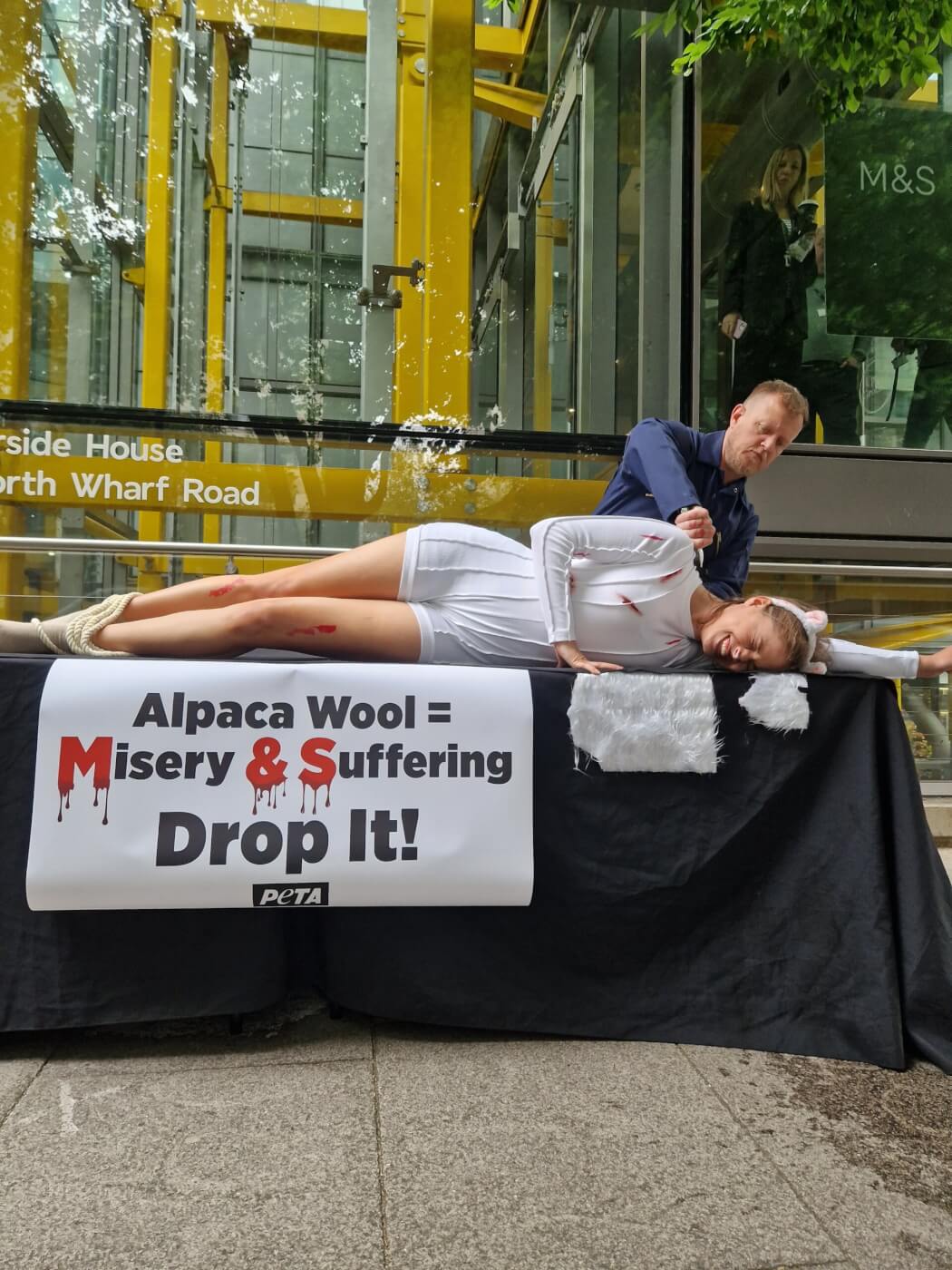 PETA’s Screaming ‘Alpaca’ Greets Shareholders at Marks & Spencer’s ...