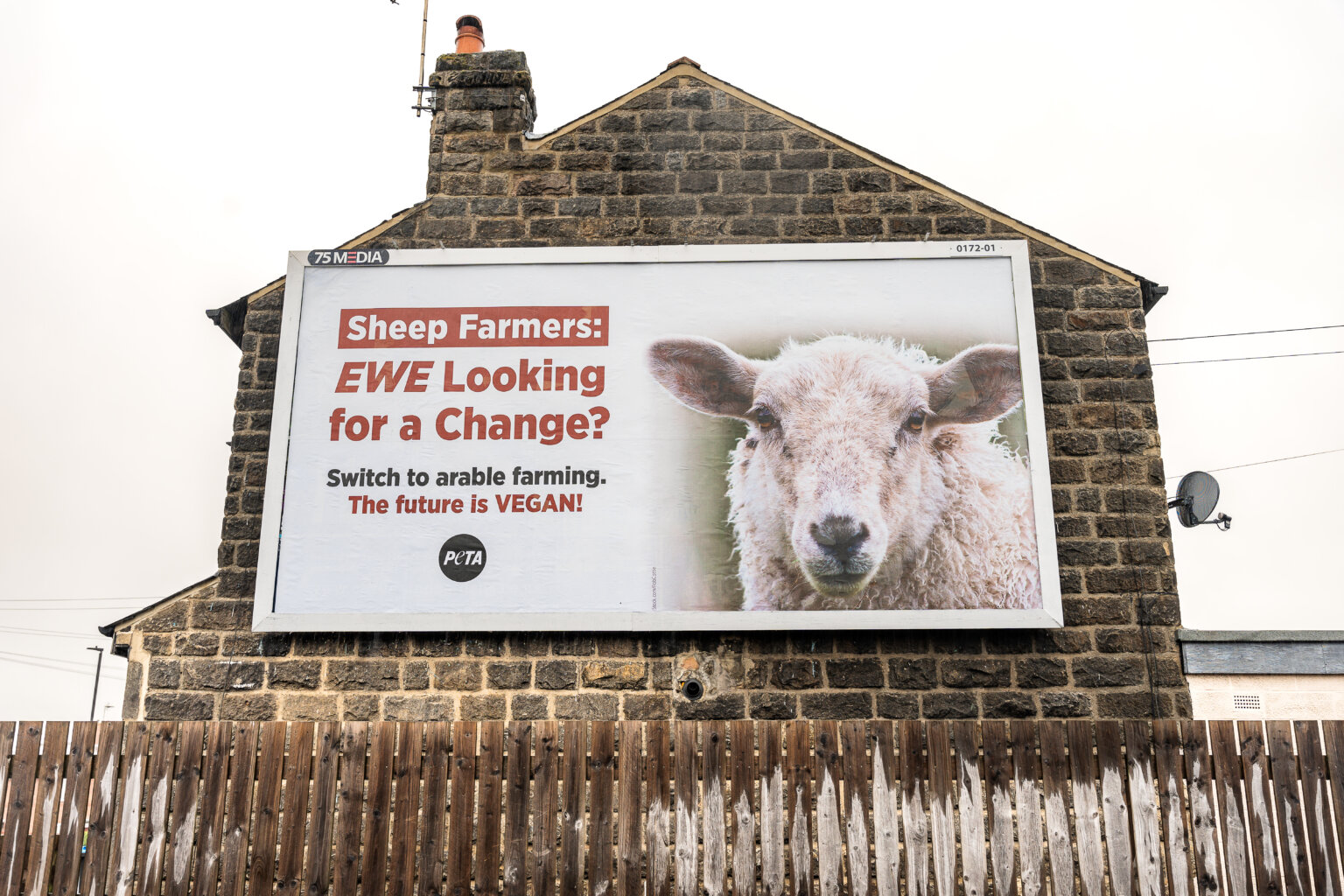 Have You Seen PETA’s New Billboard in Yorkshire?