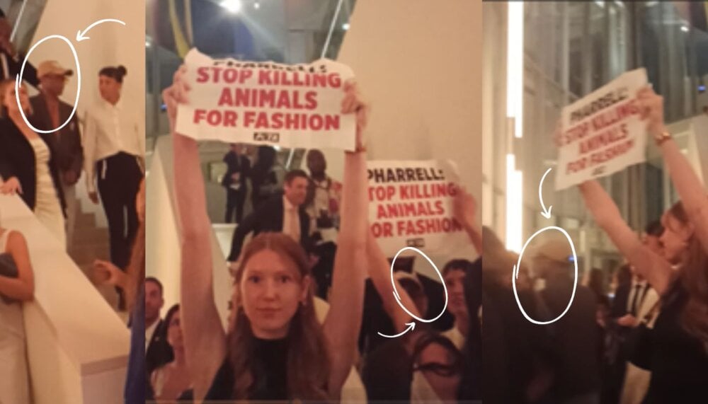 Animals Aren’t Fabric: PETA Disrupts Pharrell Williams’ Party