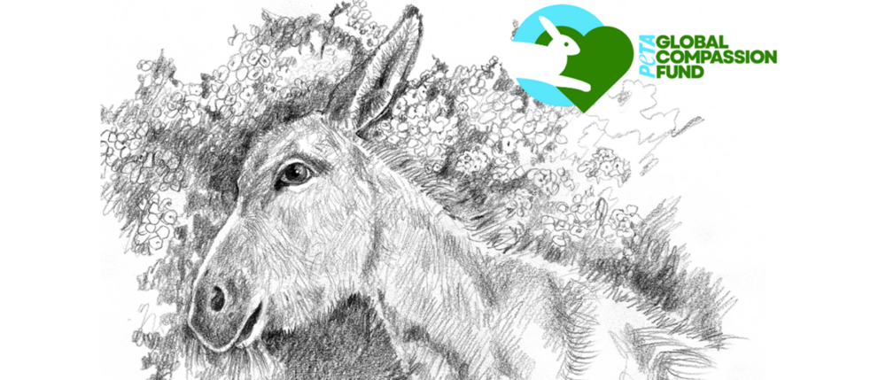 PETA Founder Ingrid Newkirk and Ally James Cromwell Make ‘A World of ...