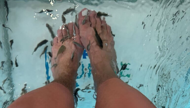 Why You Should Never Get a Fish Pedicure
