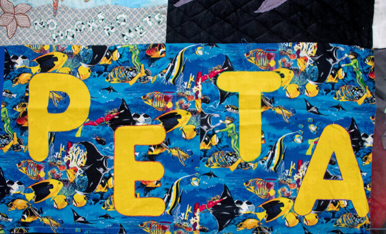 World’s First Fish Empathy Quilt