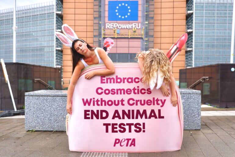 The Cost of Cosmetics: ‘Bloodied Rabbits’ Protest Against Cruel Tests