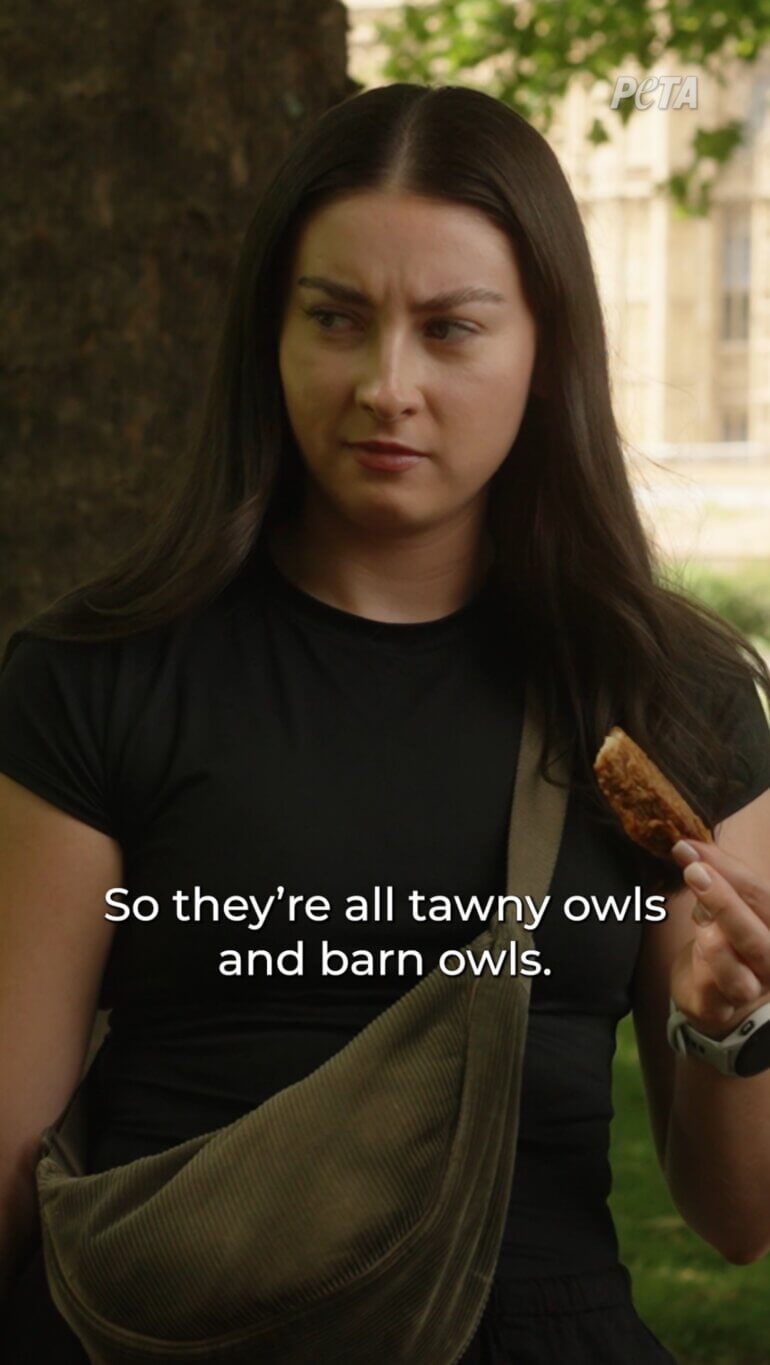 Watch Now: Shocked Londoners Try ‘Owl Meat’ Samples