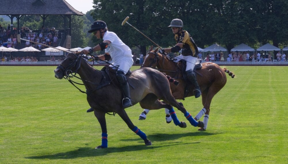 Injuries, Illnesses, Deaths: Why Polo Is Hard on Horses