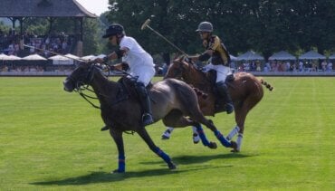 Injuries, Illnesses, Deaths: Why Polo Is Hard on Horses
