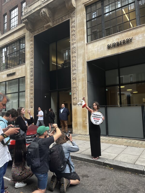 Burberry’s Cashmere Sales Draw ‘Bloody’ PETA Display at Shareholder Meeting