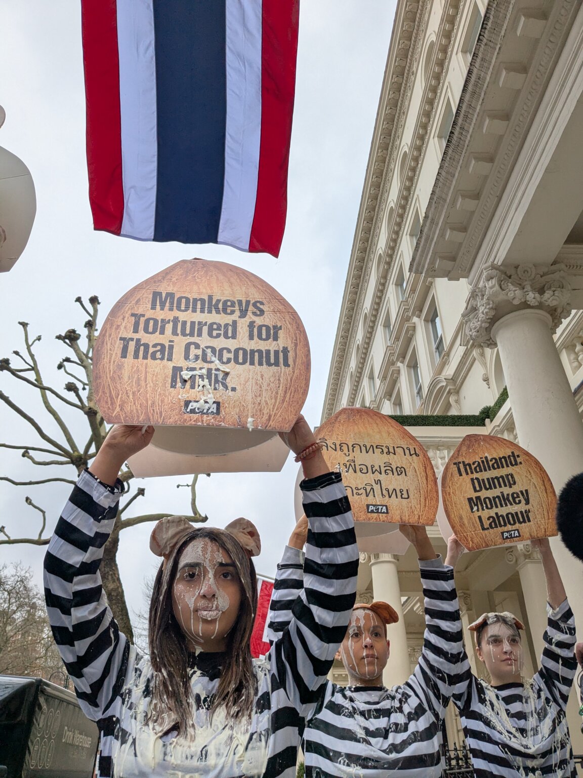 Protests Over Coconut Milk? PETA’s Campaign Explained